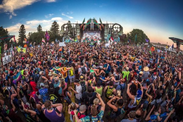 Electric Forest: What You Need To Know!