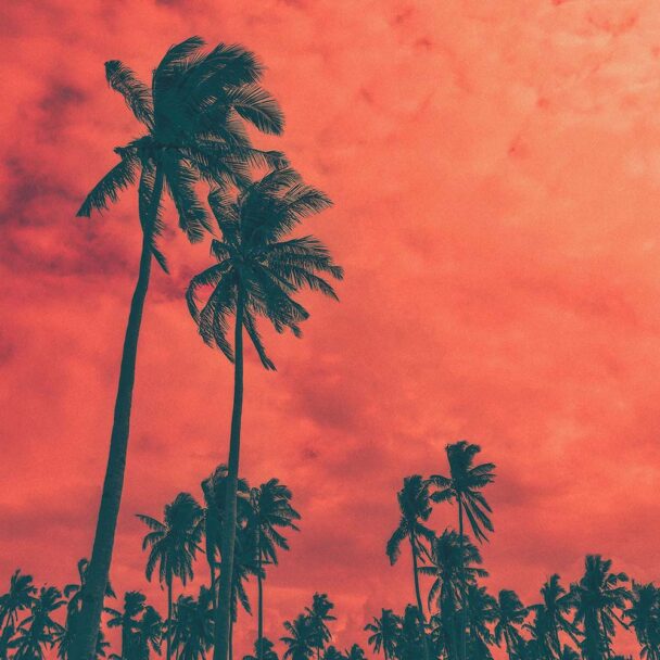 Aesthetic Spotify Playlist Covers FREE for Download