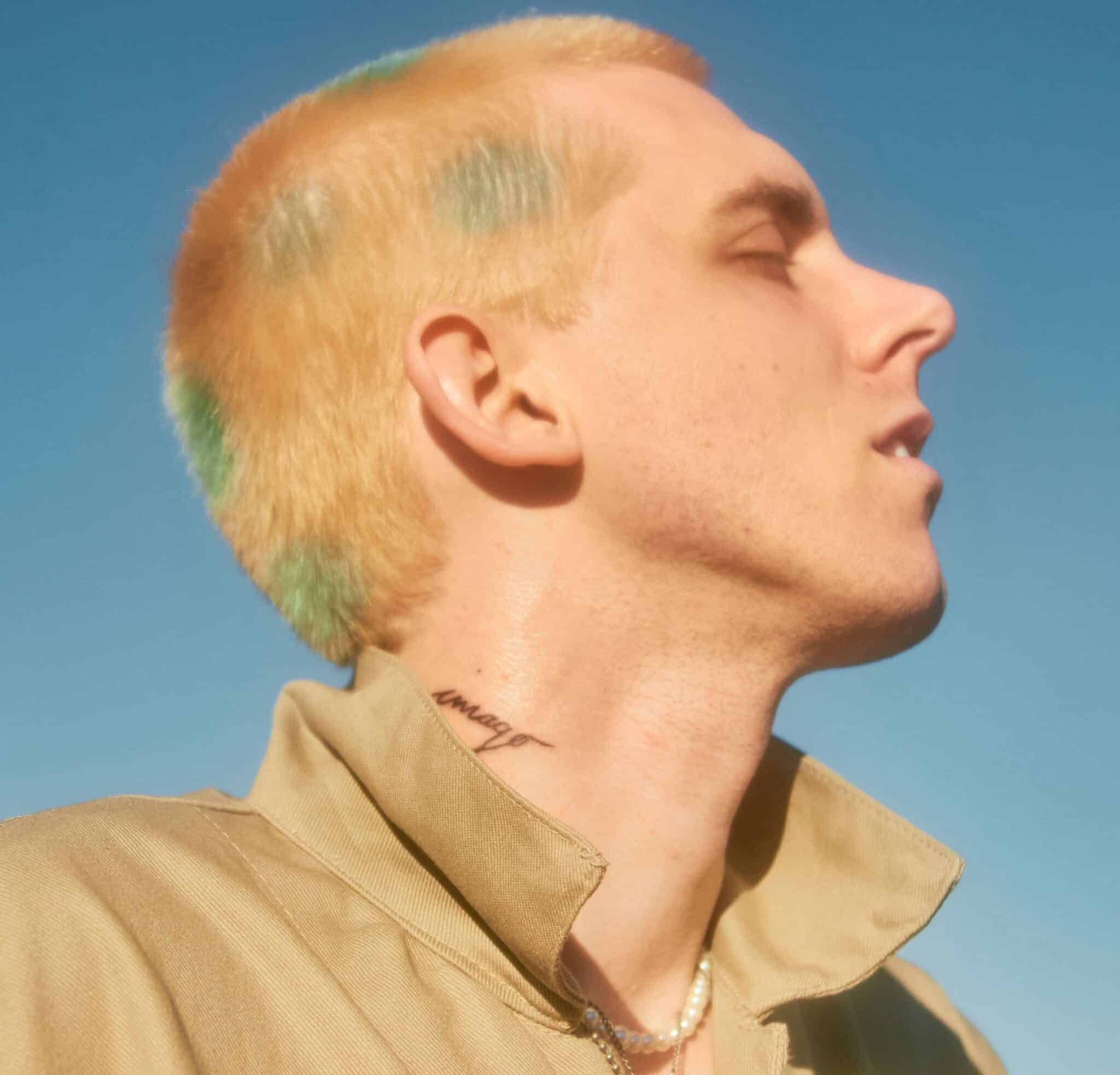 On the Radar: nobody likes you pat Releases Sincere Indie Pop Album Imago