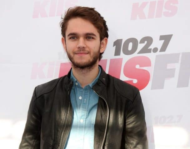 17 Cool Facts About Zedd: His Childhood, Music History, and More