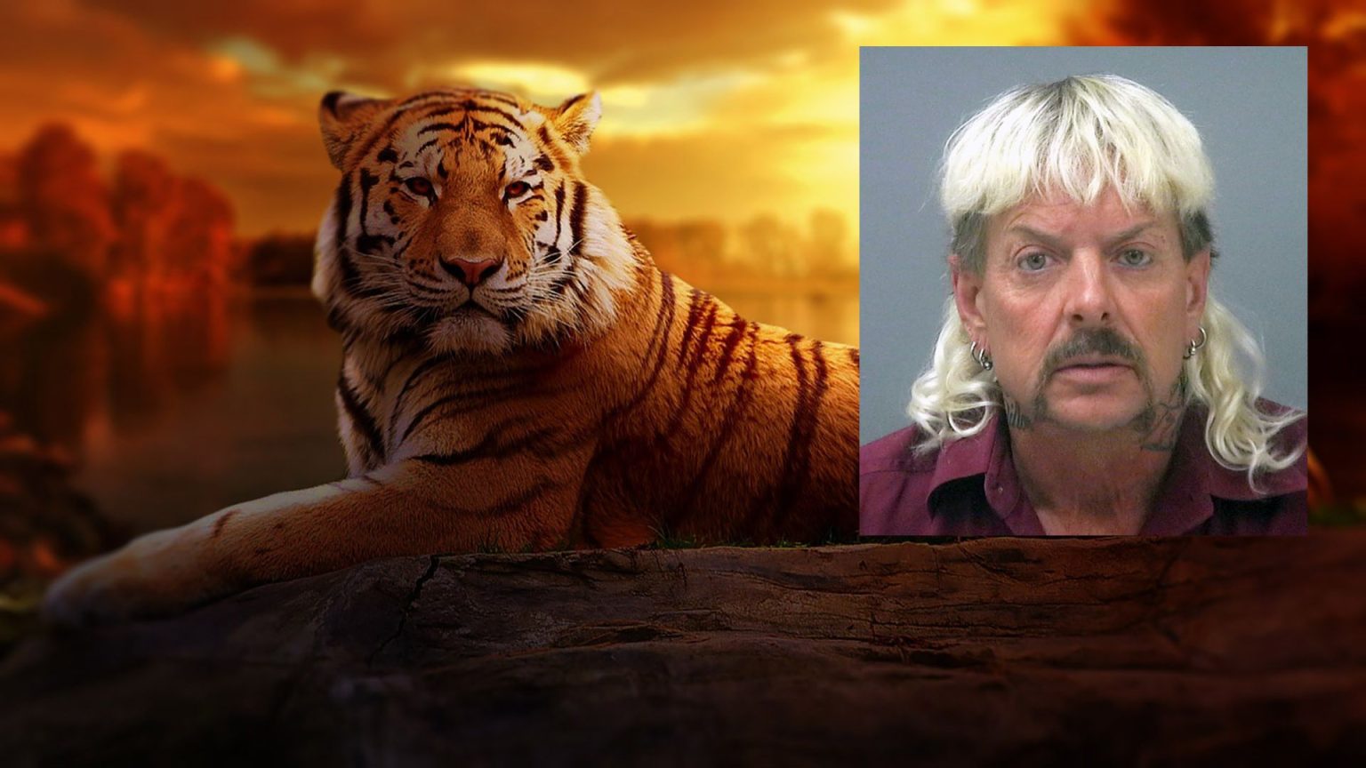 27 Weirdest, Craziest, Wackiest Celebrities